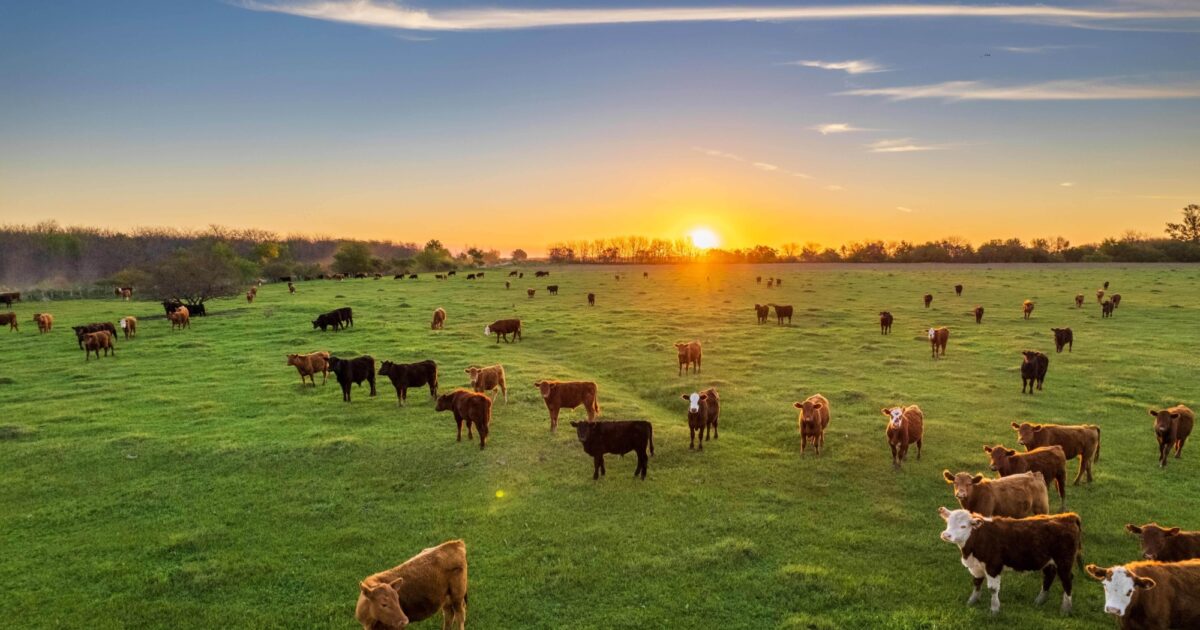 Farmers National Company | News