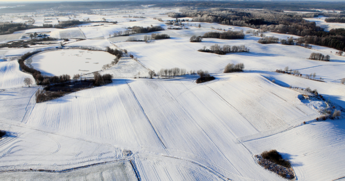 2024 January Land Values Release