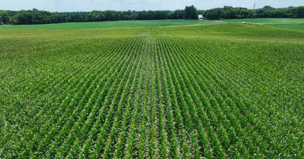 Landowner News - Midwest Crop Progress
