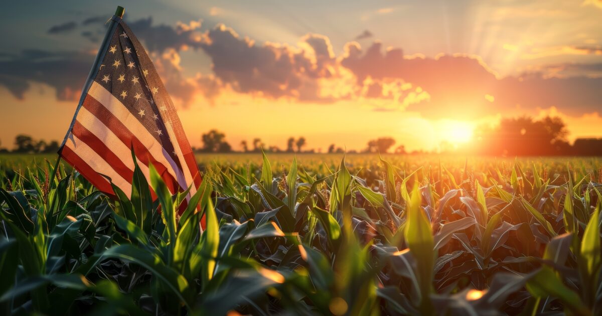 Farmers National Company | Farm and Ranch Scene - July 2024 Edition