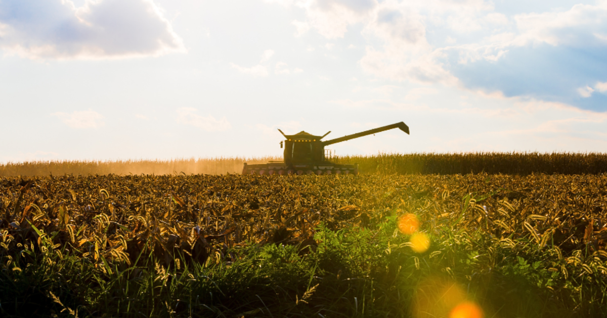 Farmers National Company | Midwest Harvest Update: Corn and Soybeans…